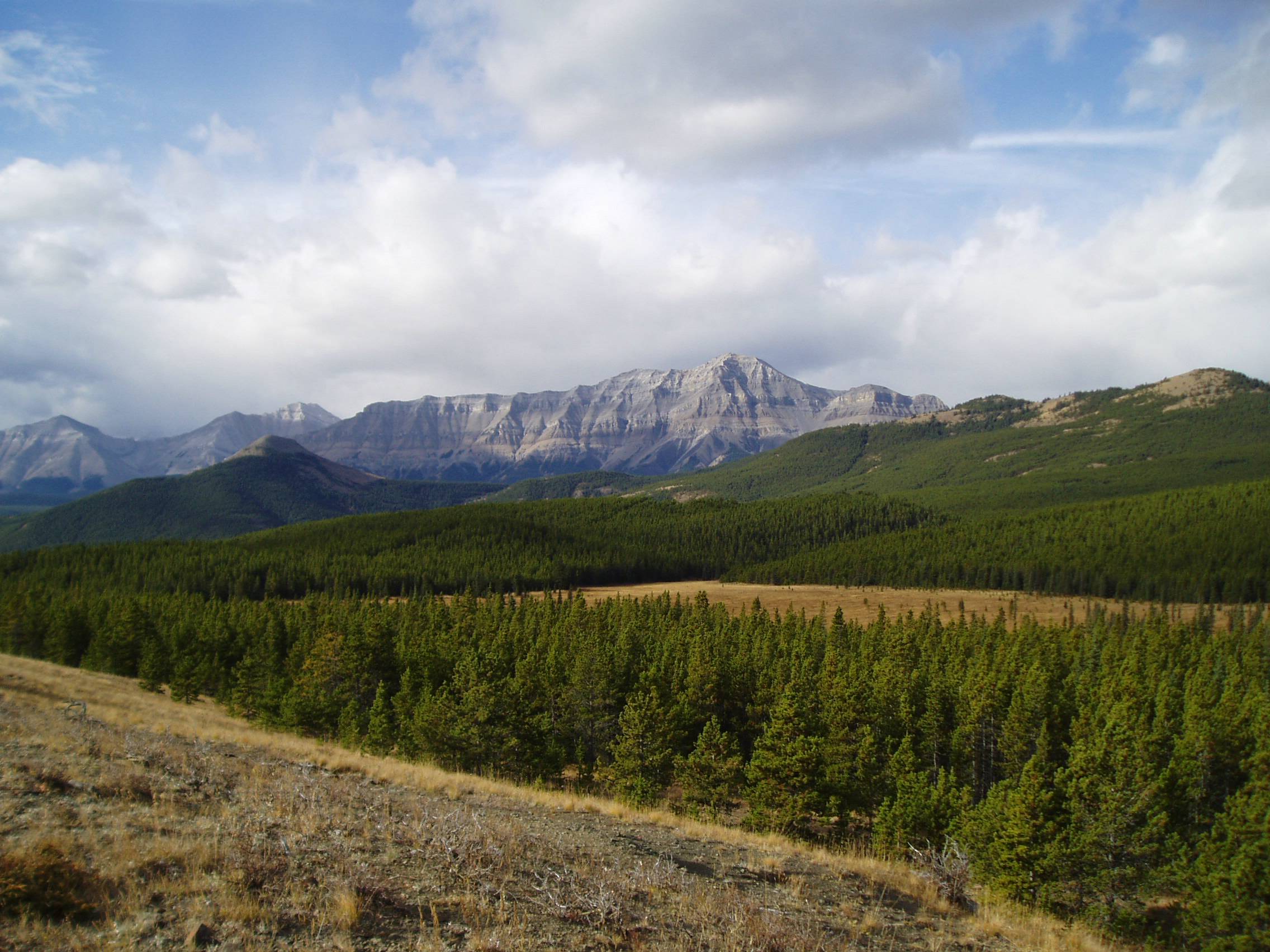 Trip report for Volcano Ridge summit 615197