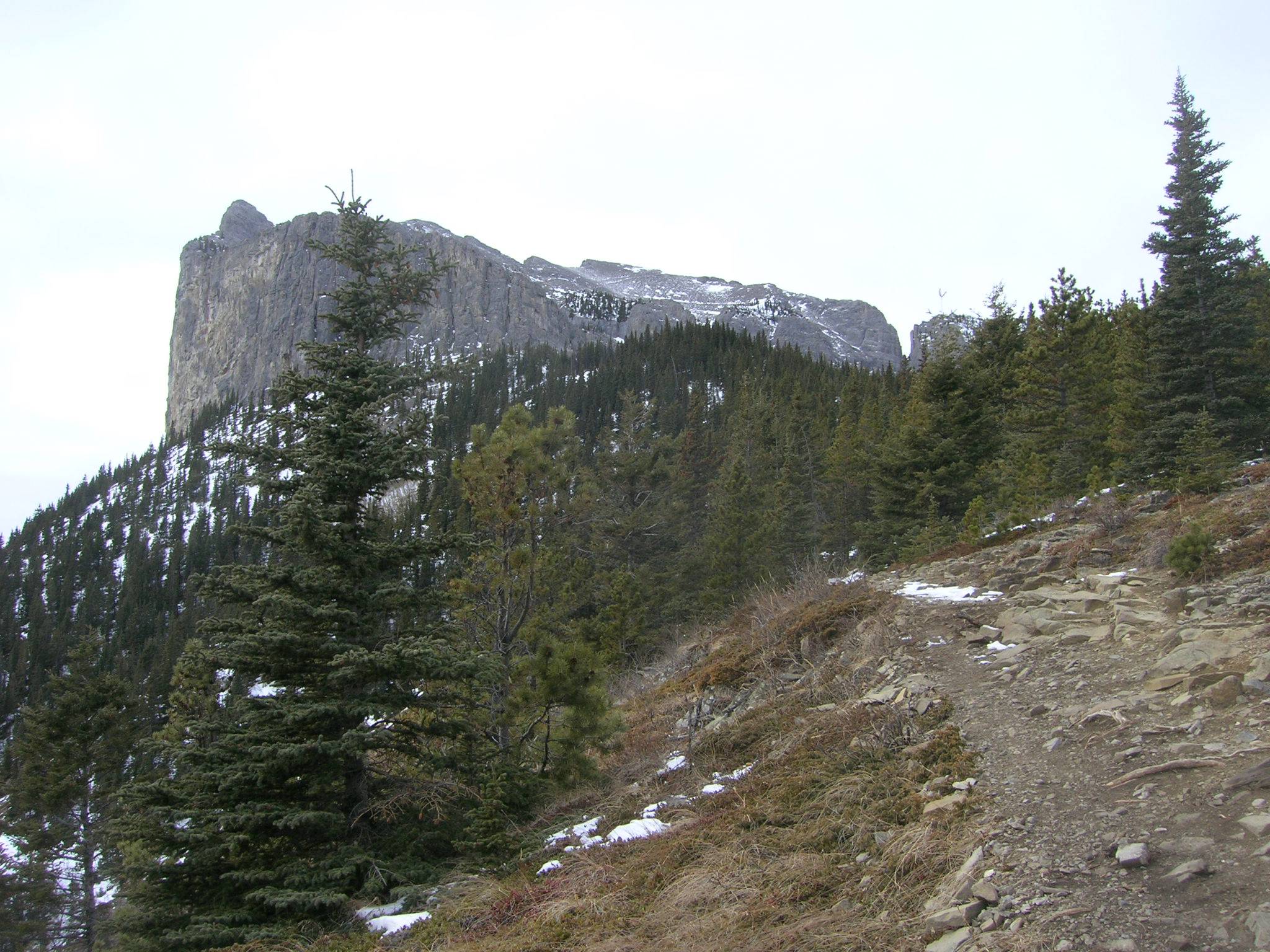 Trip report for Yamnuska East Ridge 327658