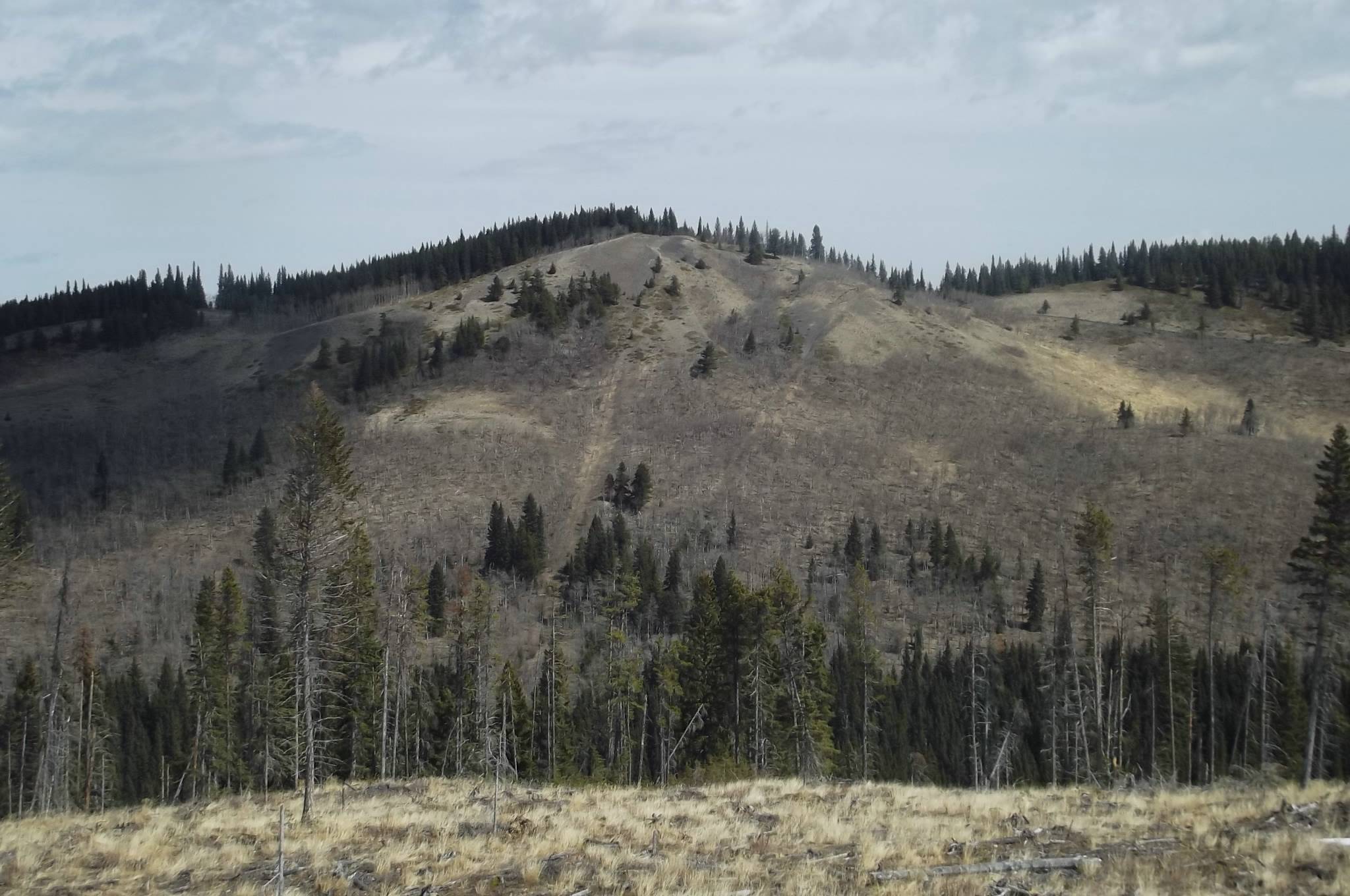 Trip report for Seventy Buck Valley, Eagle Hill & Seventy Buck Vie