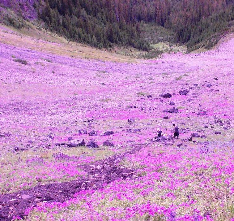 Rocky Mountain Ramblers trip report for Mt Burstall