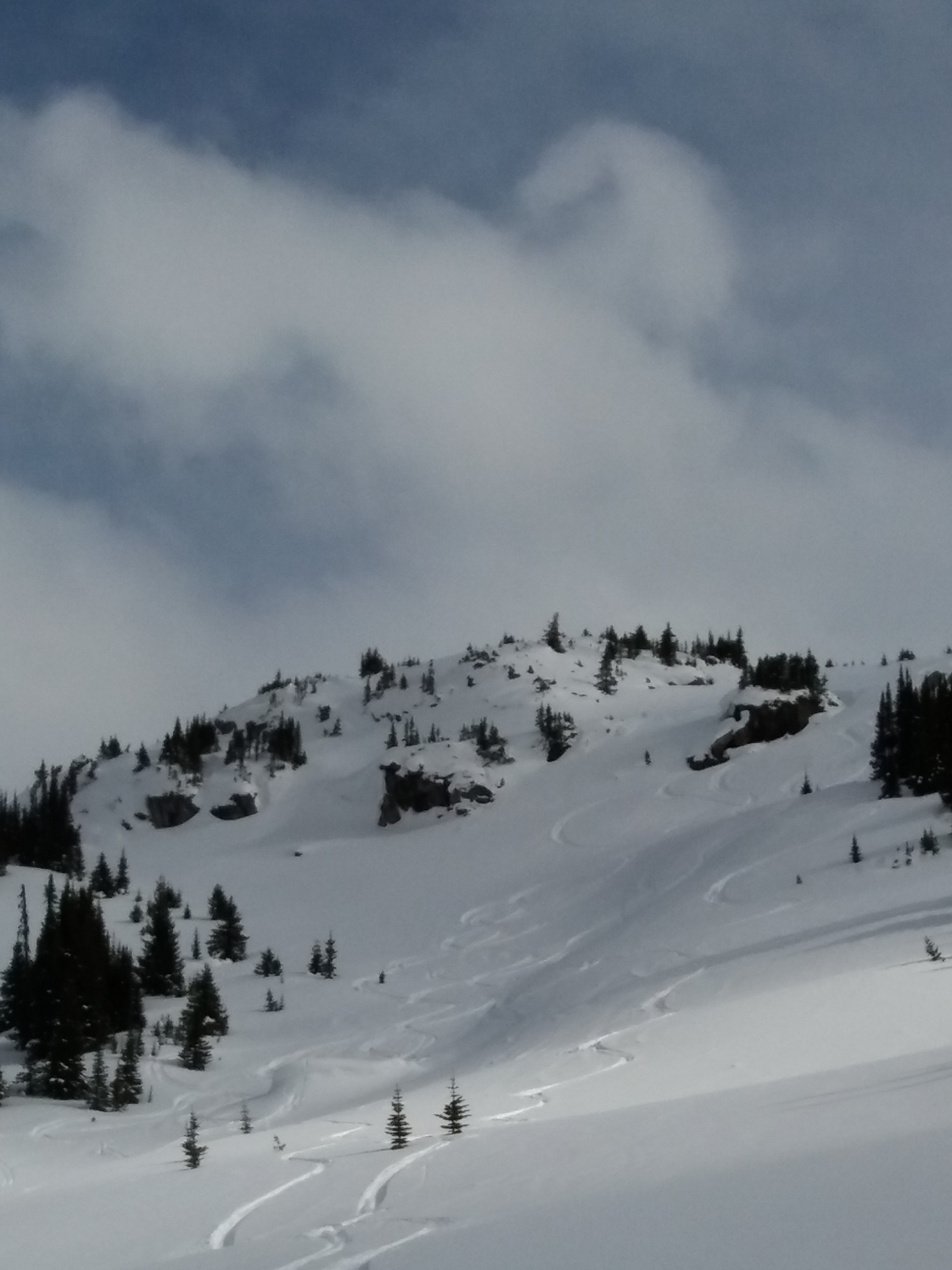 Trip report for David Henry Lodge