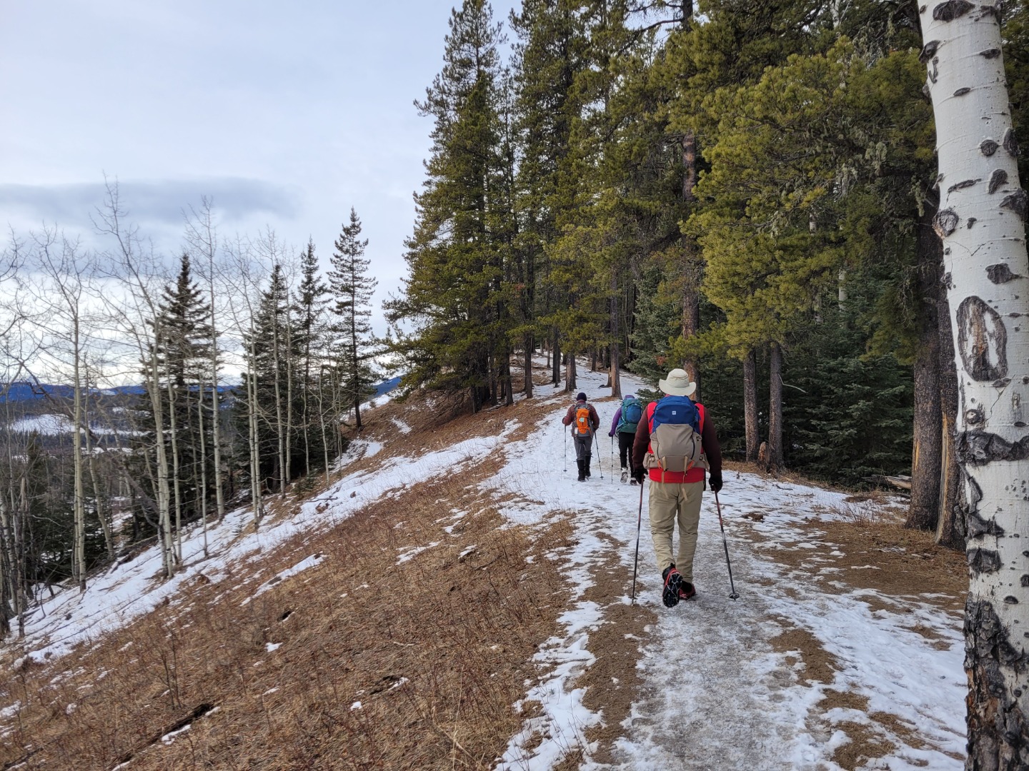 Trip report for Ranger Ridge via Fullerton Loop & Bobcat