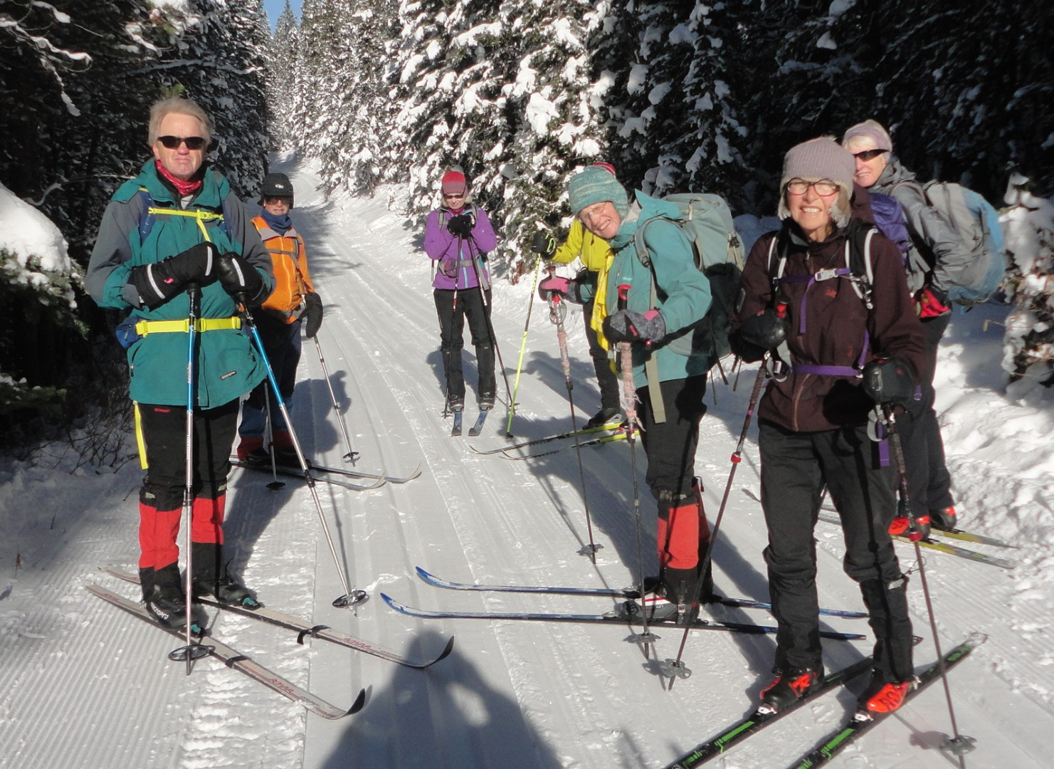 Trip report for Ribbon C Ski Trails: Skogan Pass