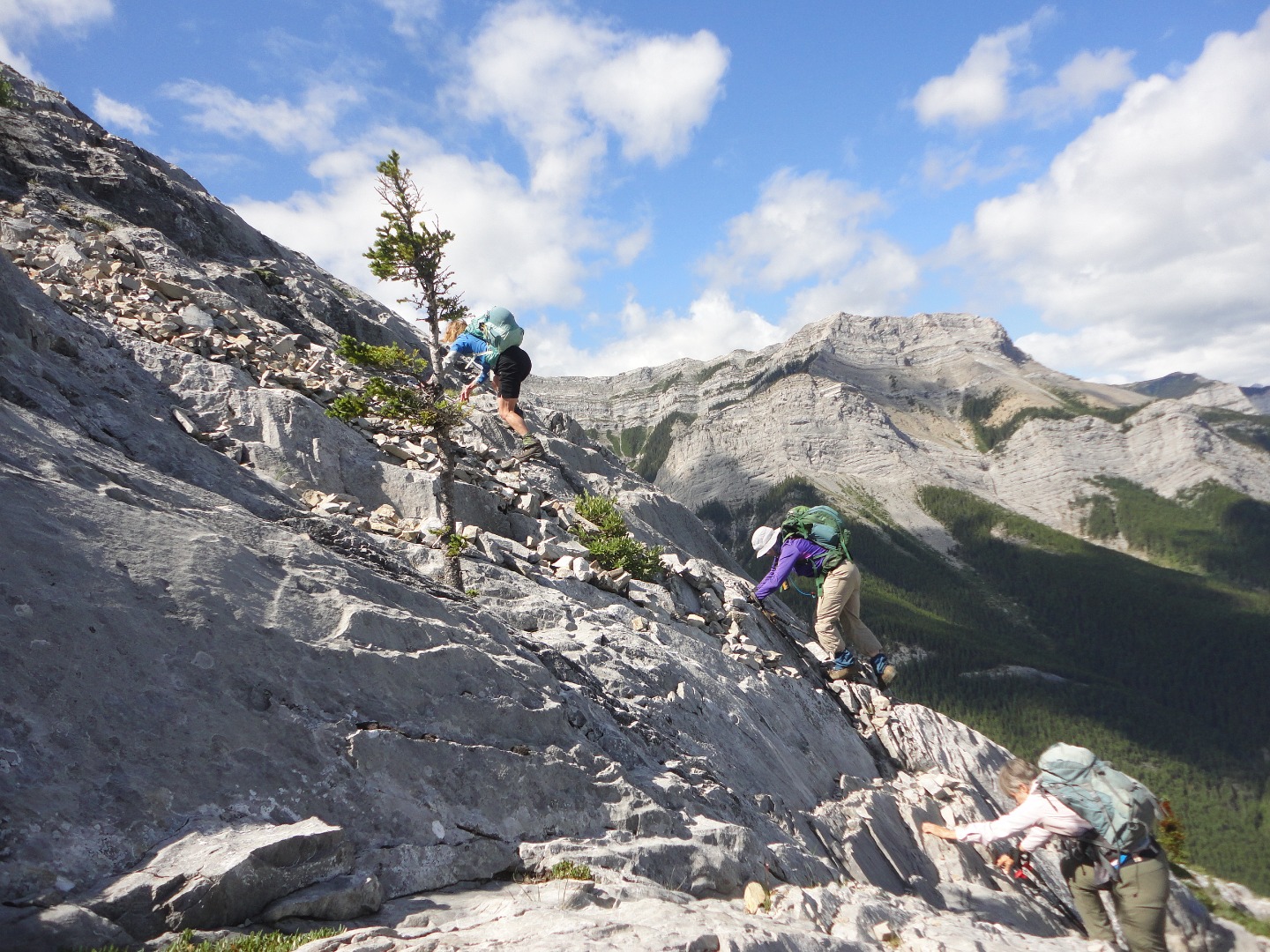 Trip report for Heart Mtn Horseshoe loop