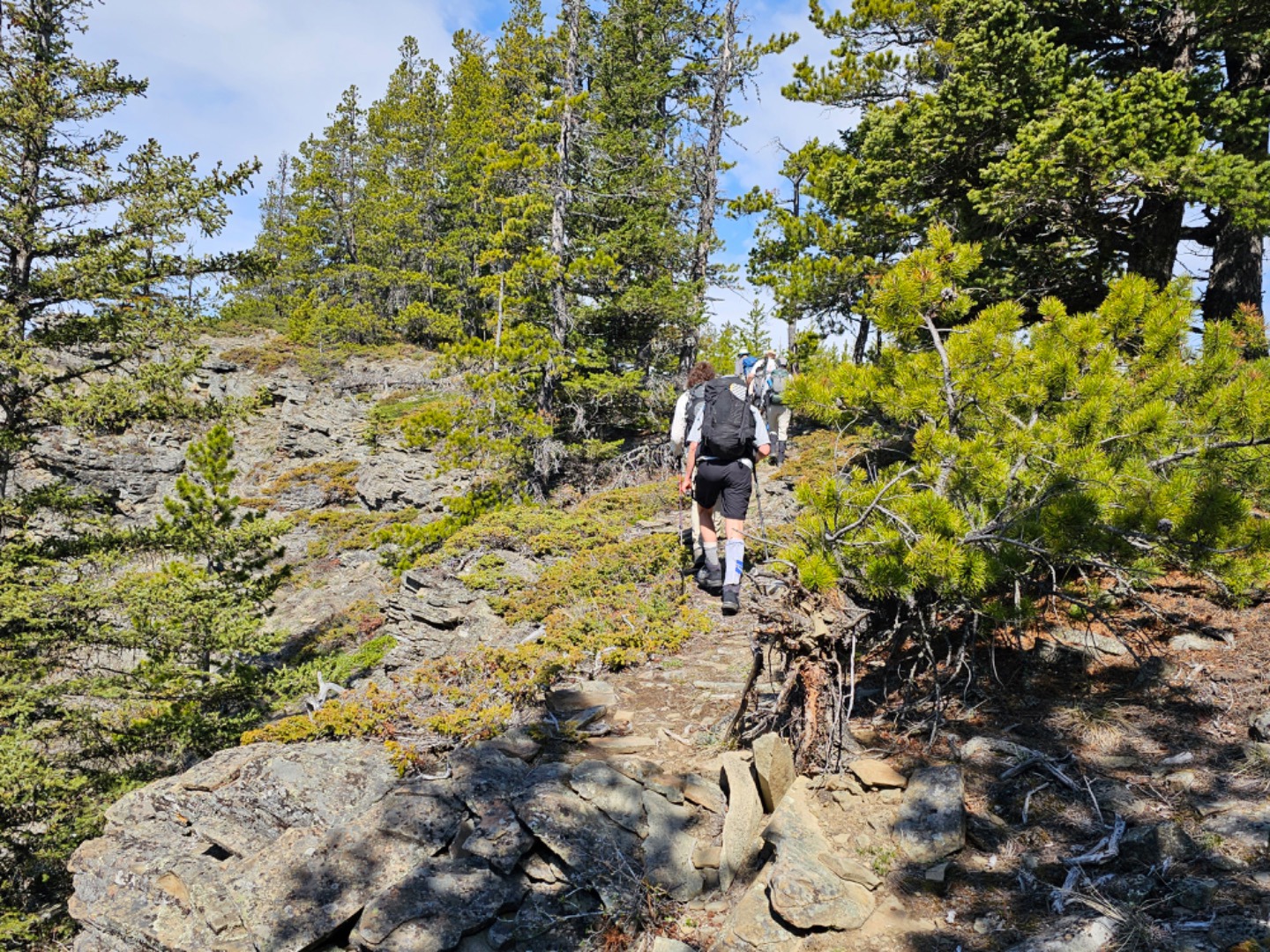 Trip report for Ramblers 70th: Seventy Buck/Eagle Hill