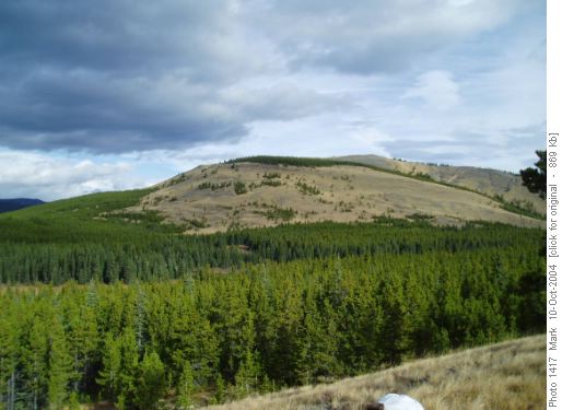 Trip report for Volcano Ridge summit 615197